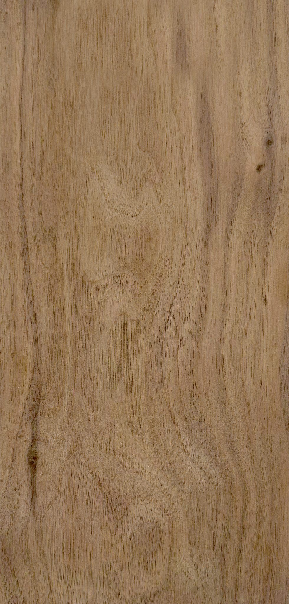 Walnut Rough Lumber (Indiana) SAMPLE - Mason's Mill & Lumber Co.