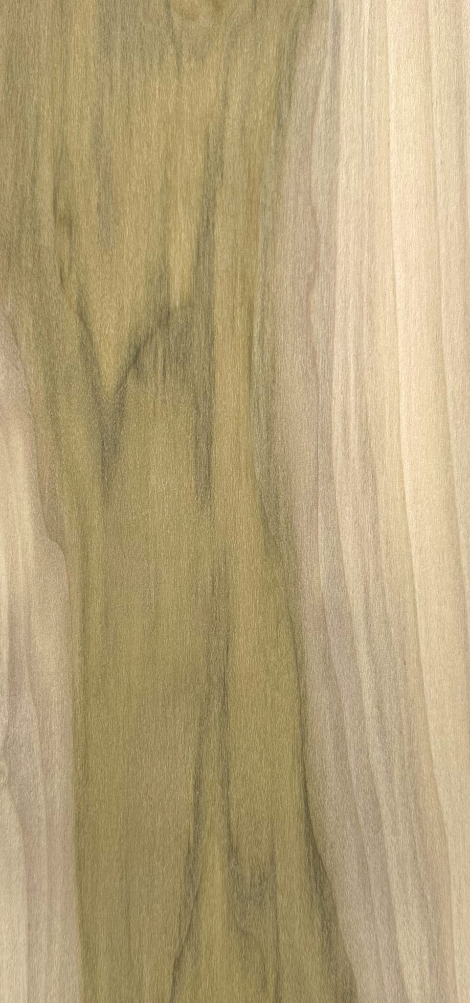 Poplar Rough Lumber SAMPLE - Mason's Mill & Lumber Co.